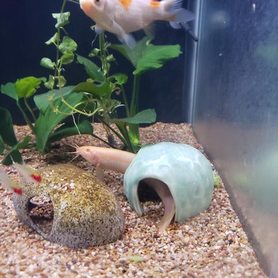 Small Fish Hide MADE TO ORDER Betta Fish Cave Small Aquarium Decor Fish ...