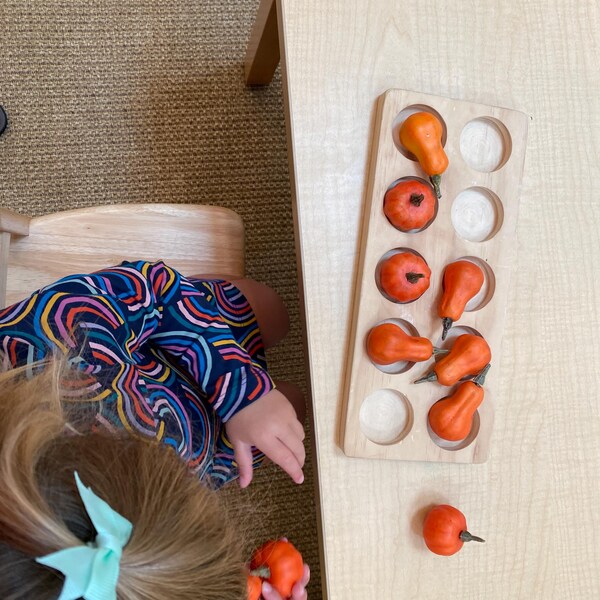 Wooden Ten Frame Counting Tray Educational Toy Preschool and ...