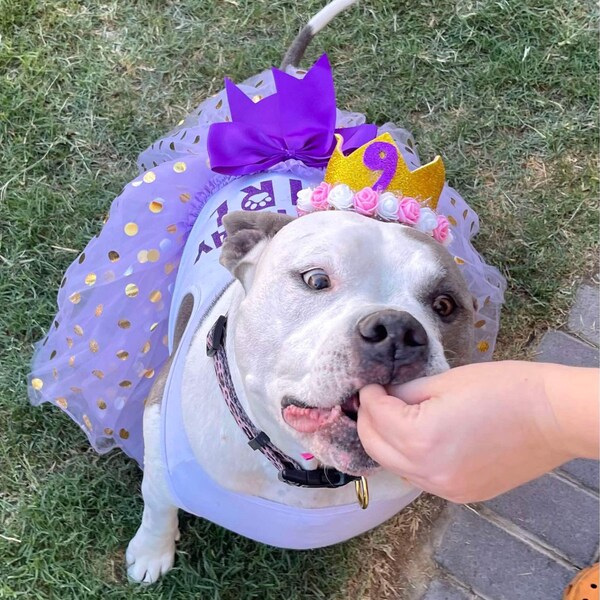 Terracotta Wedding Collar the Chauncy Rust and Burnt Orange Bridesmaid ...