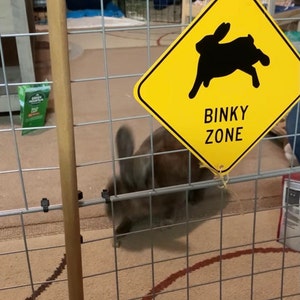 Binky Zone, Happy Bunny; Pet Rabbit Sign, Aluminum, 6", Glossy Black on ...