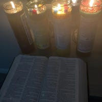 Bingo Oil / Aceite - Etsy