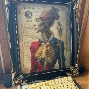 Vintage Medical Oddities Anatomy Wall Decor, Victorian Medical ...