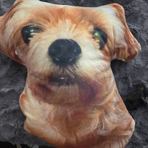 Custom Cat Pillow, Personalized 3D Cat Pillow, Ugly Cat Pillow, Cat ...