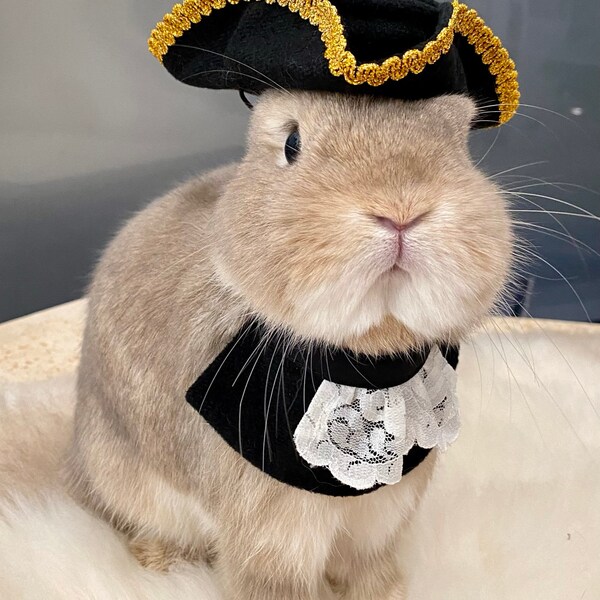 Colonial Tricorn Pirate Hat for Pet Bunny Rabbit and Other Small Pets ...