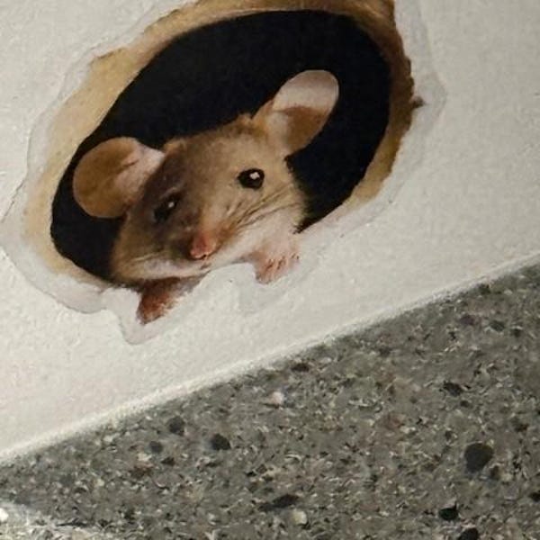 Mouse Vinyl Sticker, Mouse Hole Decal Sticker for Wall, Nursery Mouse ...