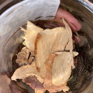 Hot Foot Powder .5oz Removal Hexing Hoodoo Spell Work - Etsy