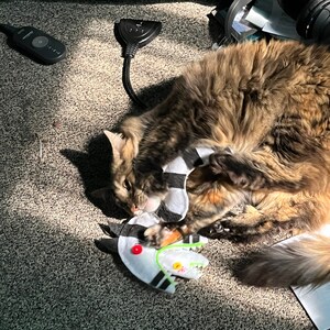 Kuchi Kopi Catnip Toy bobs Burgers | Etsy