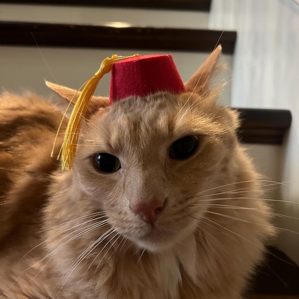 Large Trooper Cat Hat for Your Cat, Ranger Cat Hat for Your Cat - Etsy