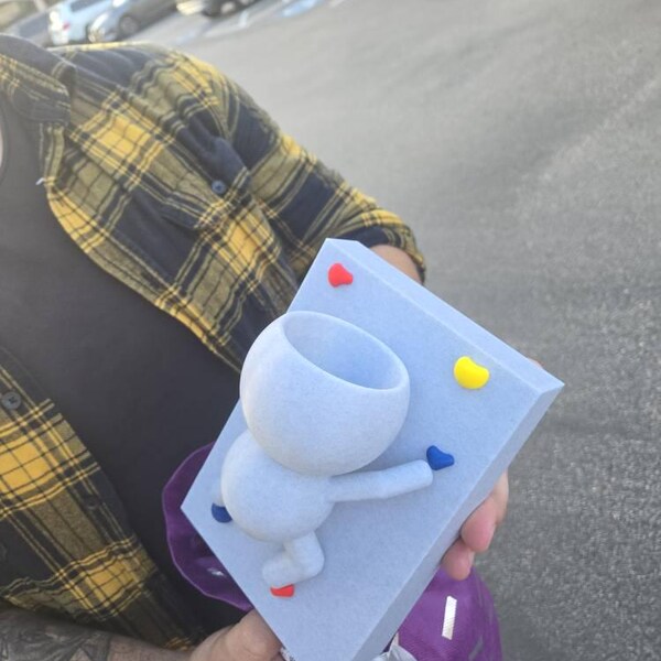 Wee Jimmy Dino Rider Dinosaur Brachiosaurus Diplodocus Succulent Plant ...