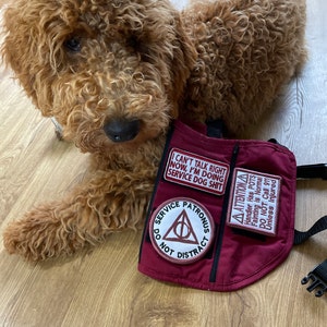 Personal Healthcare Companion Patch - Etsy