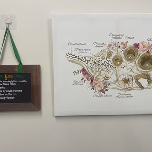 Door Sign,magnetic Door Sign,office Door Sign,coral Themed Door Sign ...