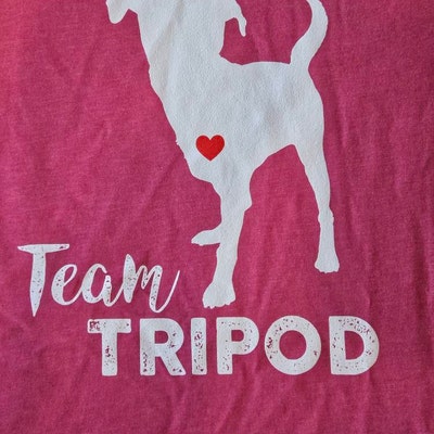 Itty Pittie, Mini Plush Pitbull, Mini Pitbull, Pitbull Doll, Mini Dog ...