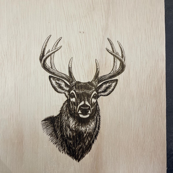 Whitetail Buck Deer Vector Drawing PNG JPG PDF - Etsy