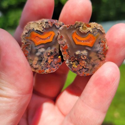 I LICK ROCKS Sticker Funny Rock Stickers Agate Dad - Etsy