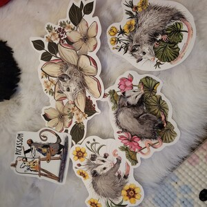 Sticker: Vintage Rainbow Possum Opossum Planner Craft Vinyl - Etsy