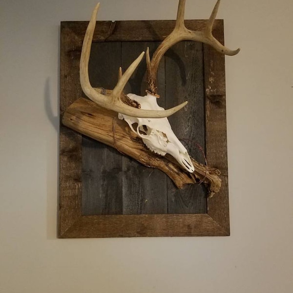 European Mount Plaque - Custom Built - Etsy