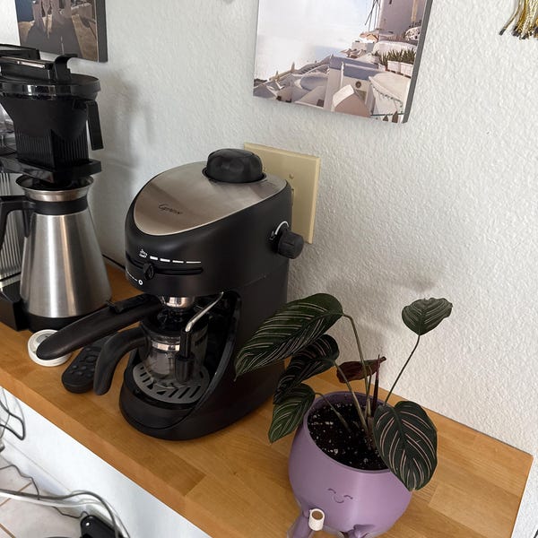 Cute Coffee Planter, Cozy Indoor Cafe Mug Plant Pot Decor, Coffee Lover ...