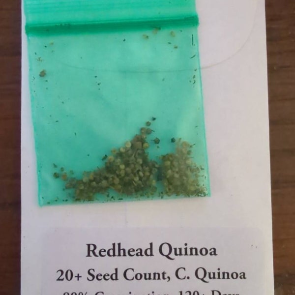 Redhead Quinoa Premium Seed Packet - Etsy