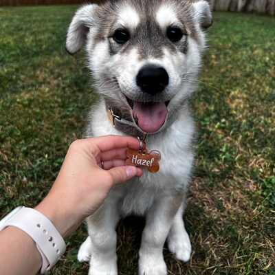 Design Your OWN Custom Pet Tag, Personalized, Custom Dog Tag, Resin Dog ...