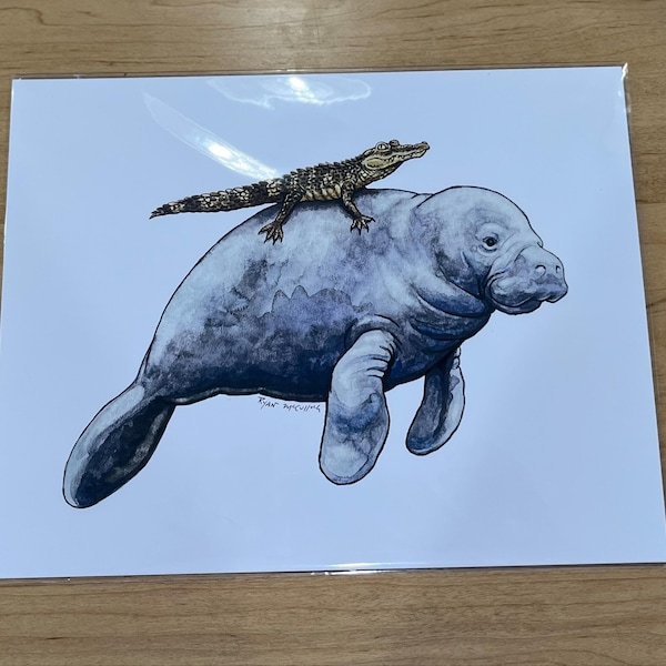 Signed Art Print: "florida Hitchhike" Alligator Riding on the Back of A ...