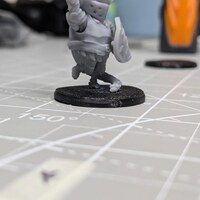 22mm Capybara Mount for Dungeons and Dragons D&D Pathfinder Dnd ...