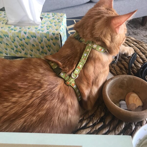 UGLY Bells for Pet Collar Chipped Jingle Bell for Cat Collar Character ...