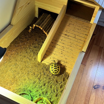 Tortoise House/lodge - Etsy UK