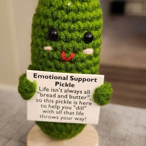 Positive Pickle,emotional Support Pickle,big Fan Pickle,handmade ...