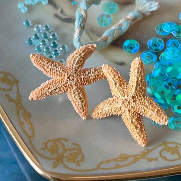 Nassau Mermaid - Hawaiian Seashells, Seashell Choker Necklace, Surfer ...