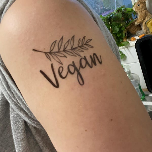 The Angry Vegan Colouring Book and Journal for Adults Vegan Activism ...