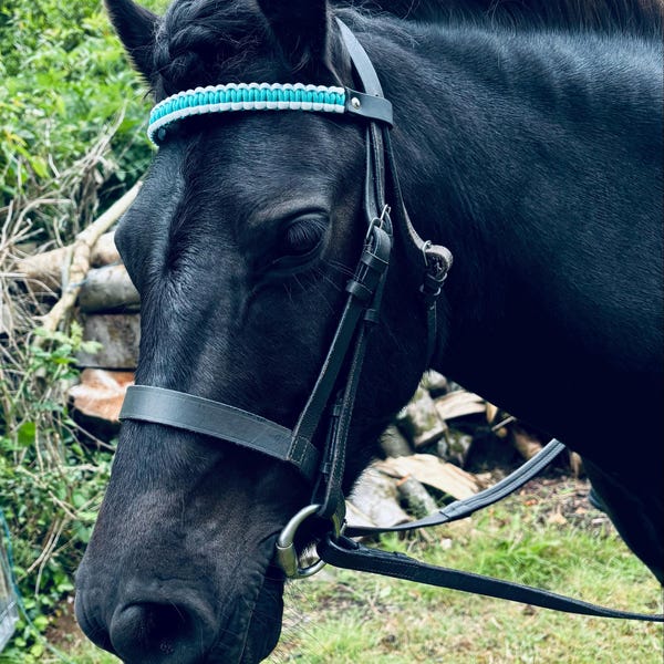 Saddle Grab Strap | Black Biothane | Balance Strap | Horse Riding ...