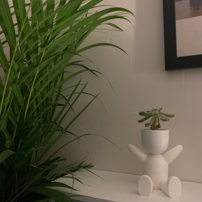 Fat Figure Planter Planter Desk Planter Planter Pot Gift Planter Plant ...