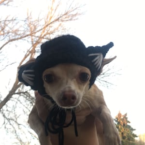 Alien Cat Costume - Etsy