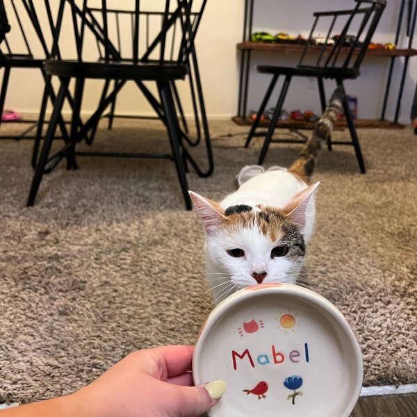 Napping Cat Mug, Made to Order, One of a Kind, Handmade Pottery, Animal ...