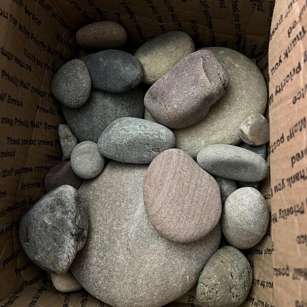 Rare Driftwood Roots W/ Embedded Stone 20in Long, Terrarium or Aquarium ...