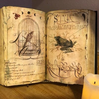 The Cackling Cauldron BOS Left Handed Magic Set of 4 - Etsy