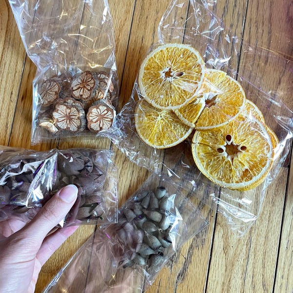 Preserved Lycopodium Bunchdried Princess Pine Grassdried Flowers ...