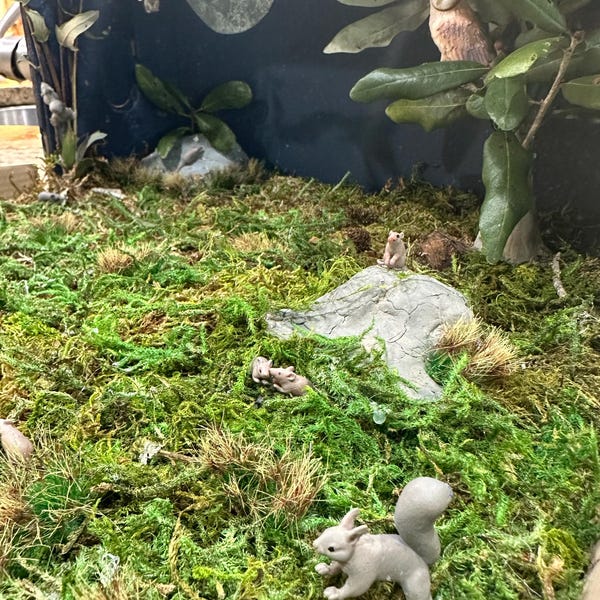 Human Skeleton - HO Scale 1:87 Miniature for Horror Diorama, Dollhouse ...