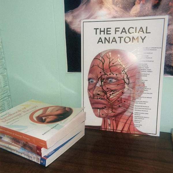 A3 Raised Foiled Facial Muscle Anatomy Poster - Etsy