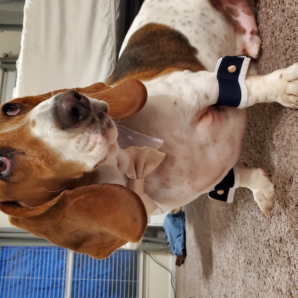 Dog Cuffs, Custom Dog Tuxedo Cuffs for Wedding, Dog Wedding Accessory ...