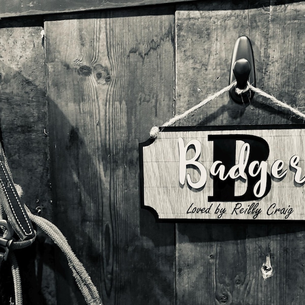 Personalized Horse Stall Sign, Horse Stall Plaque, Custom Stall Sign ...