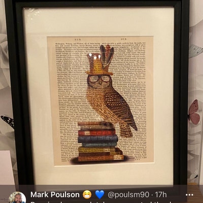 Owl Art Owl on Books Owl Picture Owl Painting Book Lover - Etsy