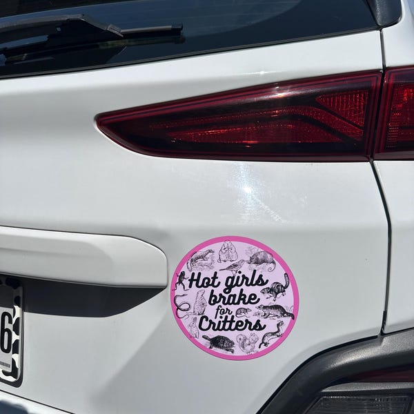 Hot Girls BRAKE FOR CRITTERS | Bumper Magnet | Vinyl Car Magnet | Gen Z ...