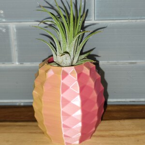 Aztec Pyramid Planter for Growing Succulents, Propagation Tray ...