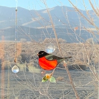 Robin Handmade Stained Glass Suncatcher - Etsy Canada