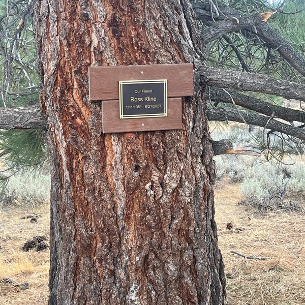 Black Outdoor QR Code Sign, Barcode Plaque, QR Code Plaque, Scan to Pay ...