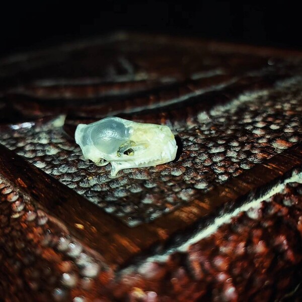 Y2k Frutiger Aero Aqua MOUSE PAD for Computer - USB, Y2K, Frutiger Aero ...