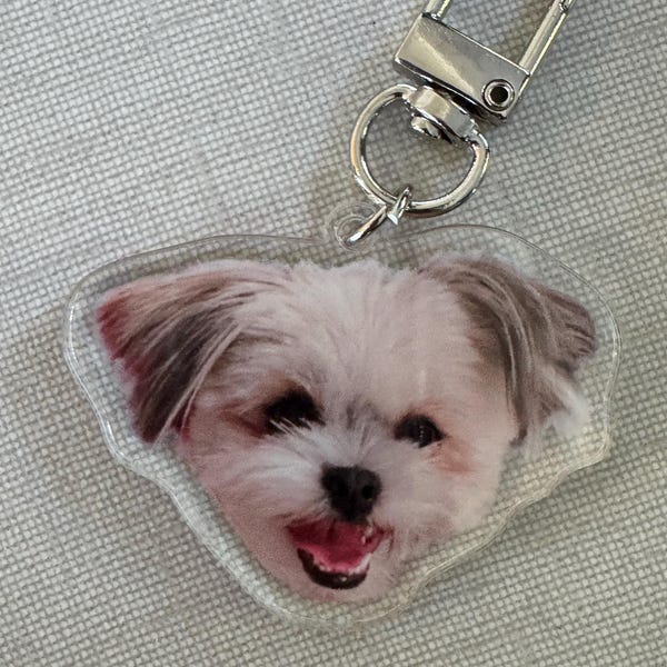 Custom Cat Keychain, Dog Keychain, Pet Keychain, Personalized Pet Photo ...