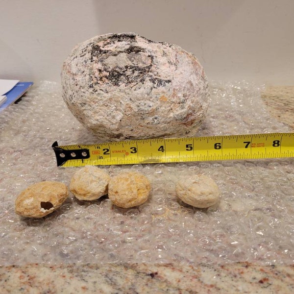 Break Your Own Geodes Gift Box Set of Five SMALL 1.5" Unopened Geodes ...