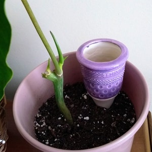 Ceramic Tree Replacement Lights Heart Bulbs Lights Valentine Fits ...